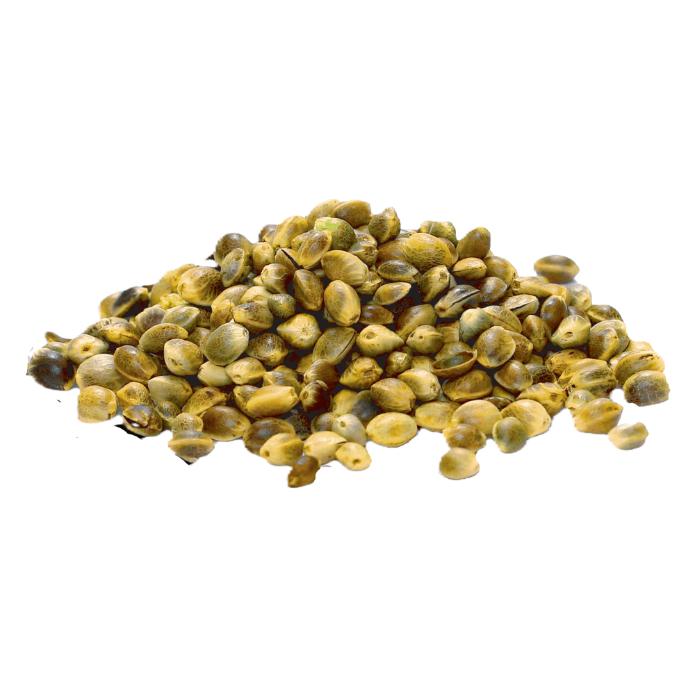 Hemp-Based Feed Materials for Animal Nutrition - Allive